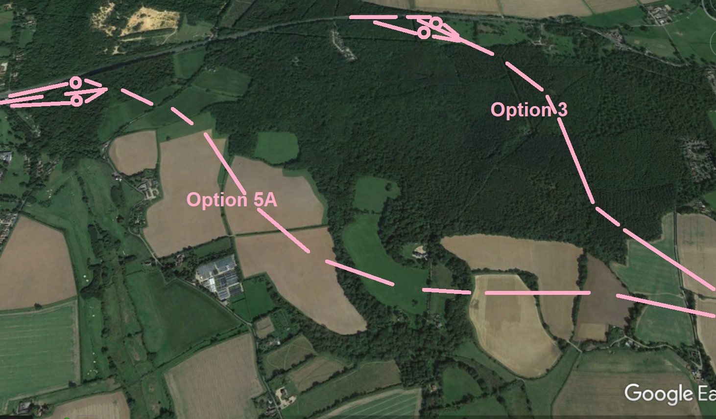 Will Ancient Woodland legislation be lethal for Binsted Woods?